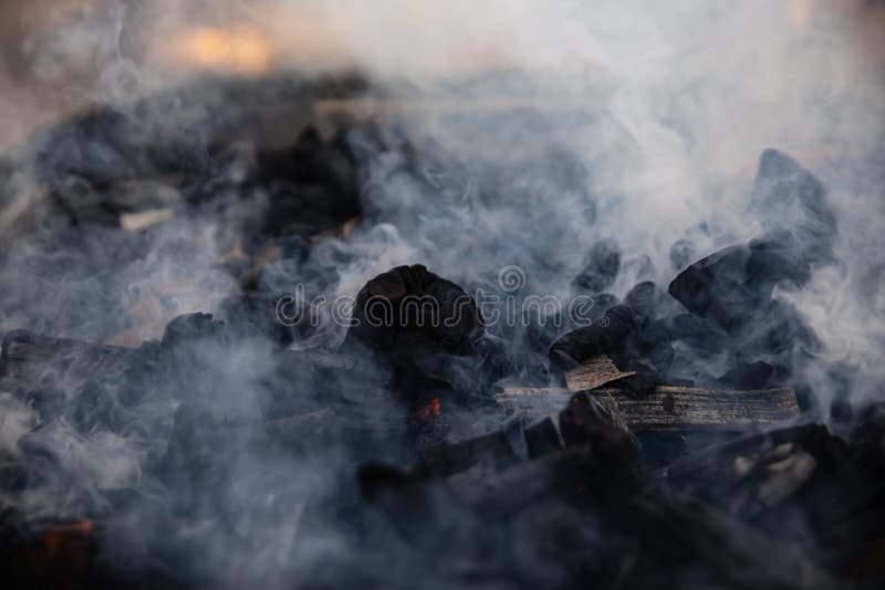 After a Forest Fire, Smoke from Still Burning Wood and Coal Stock Image ...