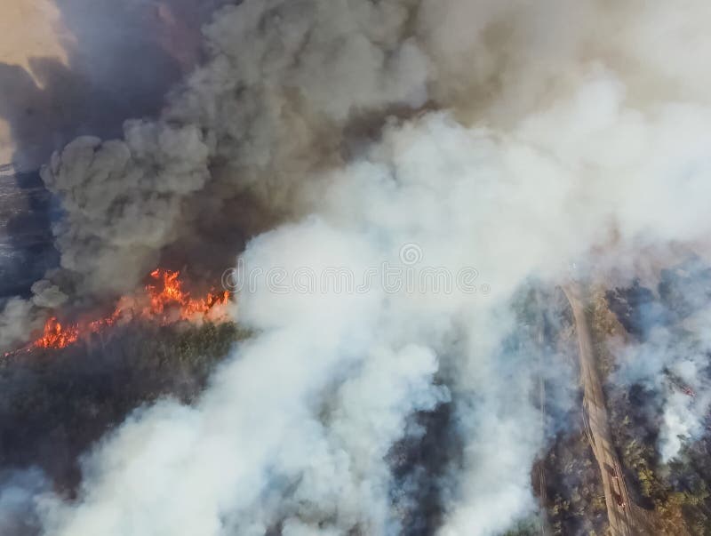 Forest Fire, Smoke Of Surrounding Area. Smoke And Fire Stock Image ...