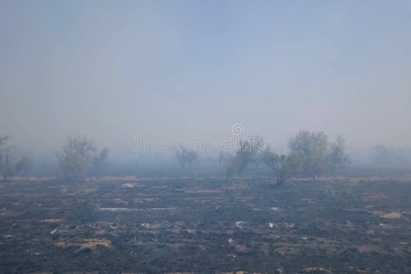 Forest Fire, Smoke of Surrounding Area. Smoke and Fire Stock Image ...