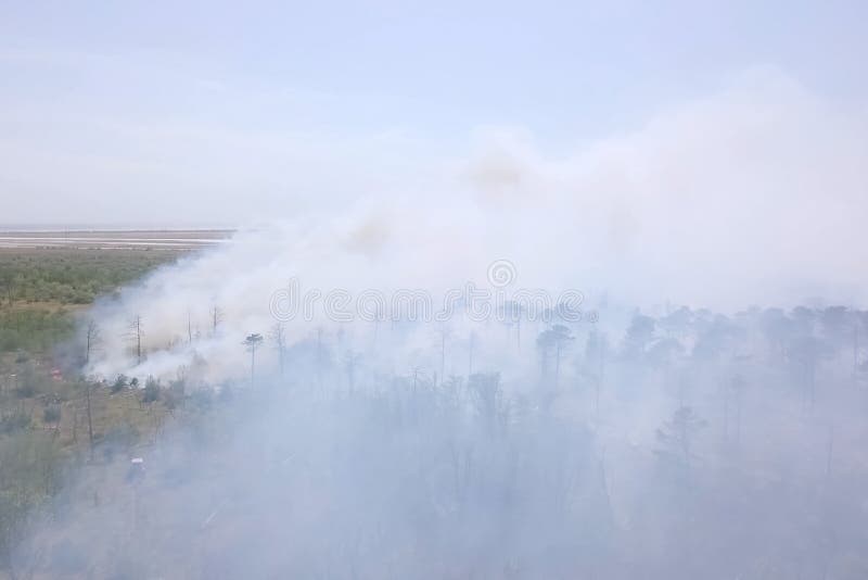 Forest Fire, Smoke of Surrounding Area. Smoke and Fire Stock Photo ...