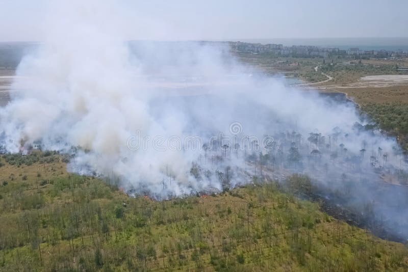 Forest Fire, Smoke of Surrounding Area. Smoke and Fire Stock Photo ...