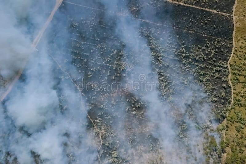 Forest Fire, Smoke Of Surrounding Area. Smoke And Fire Stock Image ...