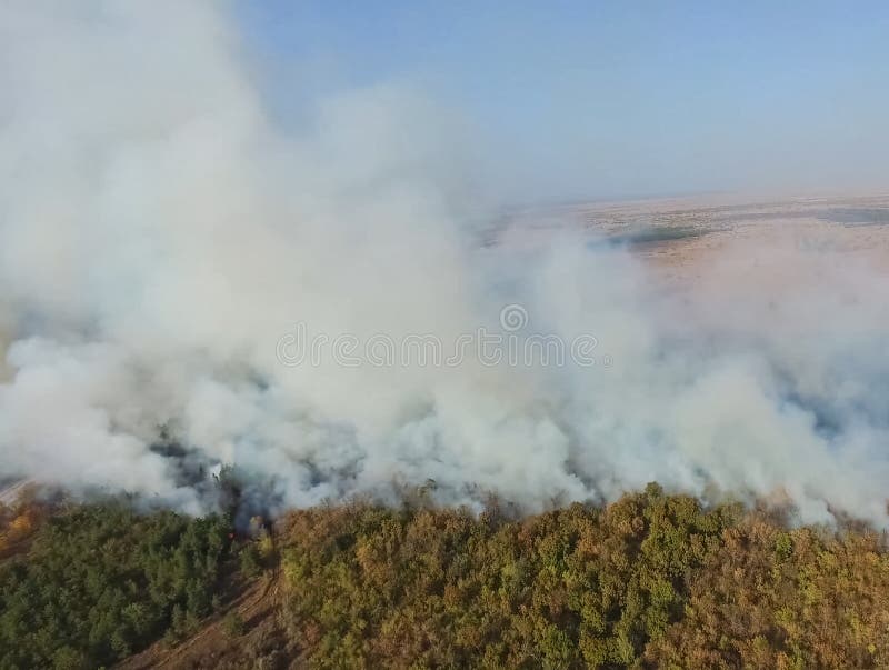 Forest Fire, Smoke of Surrounding Area. Smoke and Fire Stock Image ...