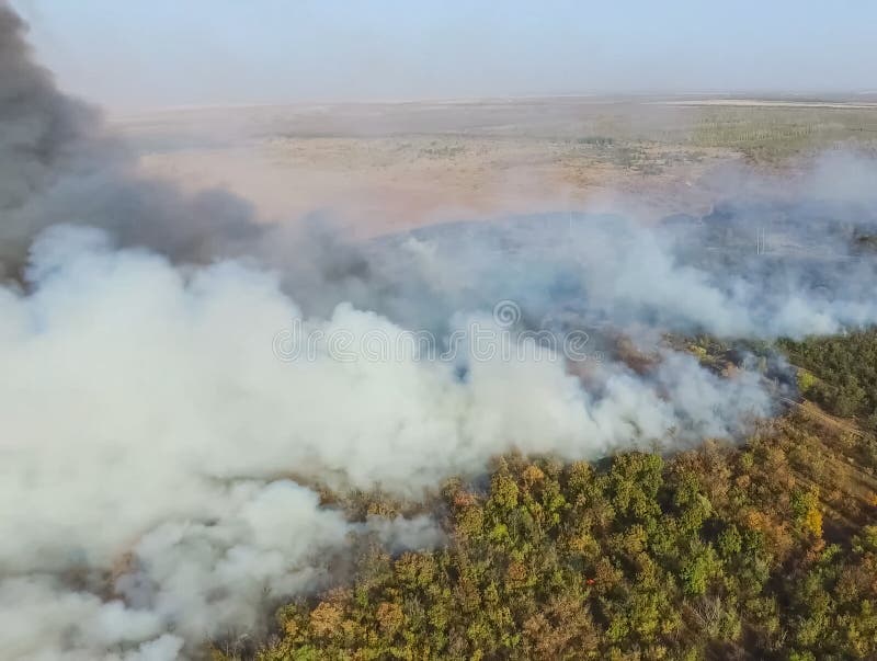 Forest Fire, Smoke of Surrounding Area. Smoke and Fire Stock Image ...