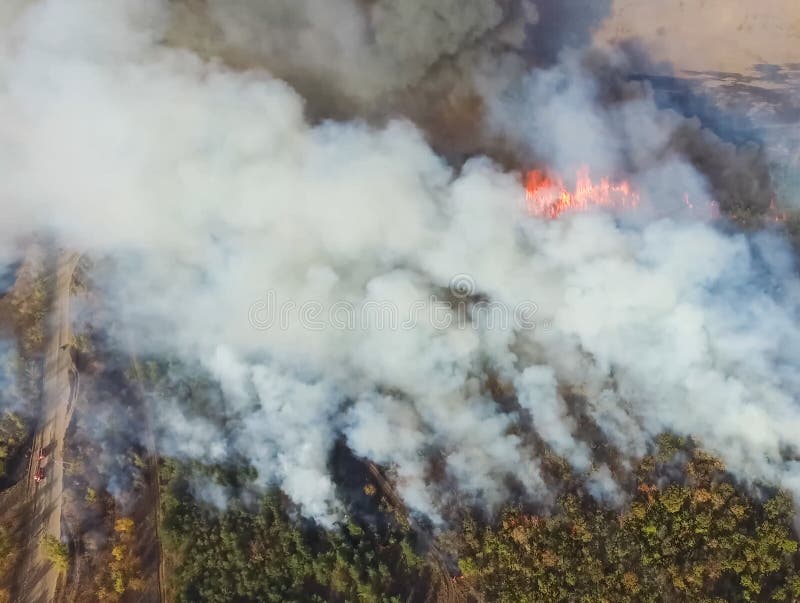 Forest Fire, Smoke of Surrounding Area. Smoke and Fire Stock Image ...