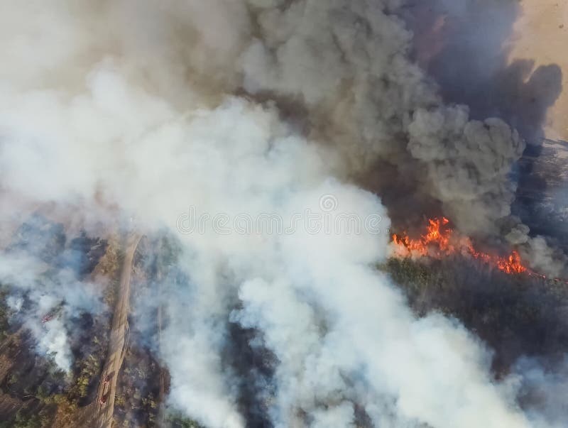 Forest Fire, Smoke of Surrounding Area. Smoke and Fire Stock Image ...