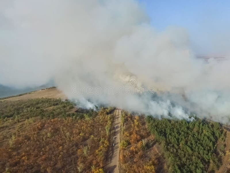 Forest Fire, Smoke of Surrounding Area. Smoke and Fire Stock Photo ...