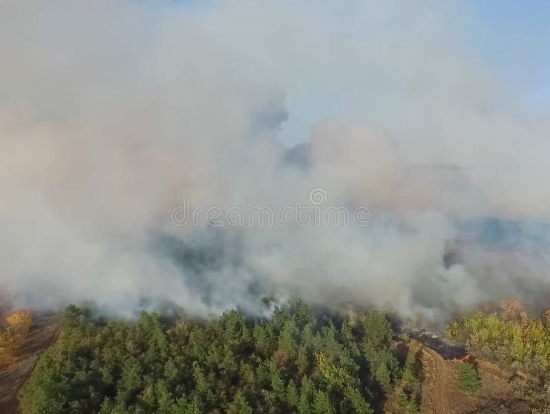 Forest Fire, Smoke of Surrounding Area. Smoke and Fire Stock Image ...