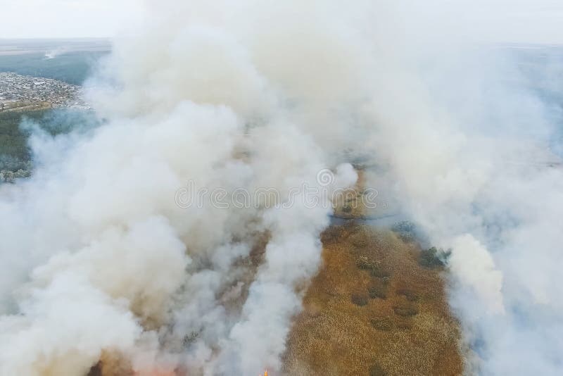 Forest Fire, Smoke of Surrounding Area. Smoke and Fire Stock Image ...