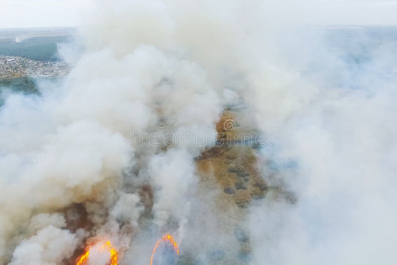 Forest Fire, Smoke Of Surrounding Area. Smoke And Fire Stock Image ...