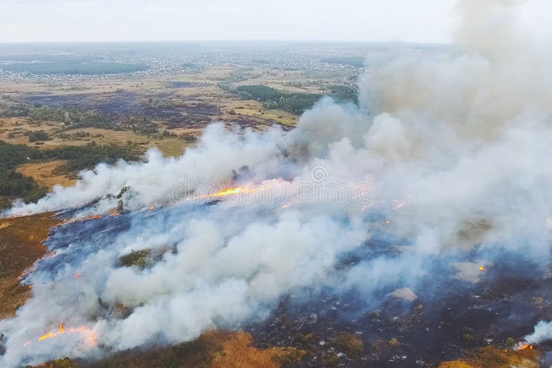Forest Fire, Smoke of Surrounding Area. Smoke and Fire Stock Image ...