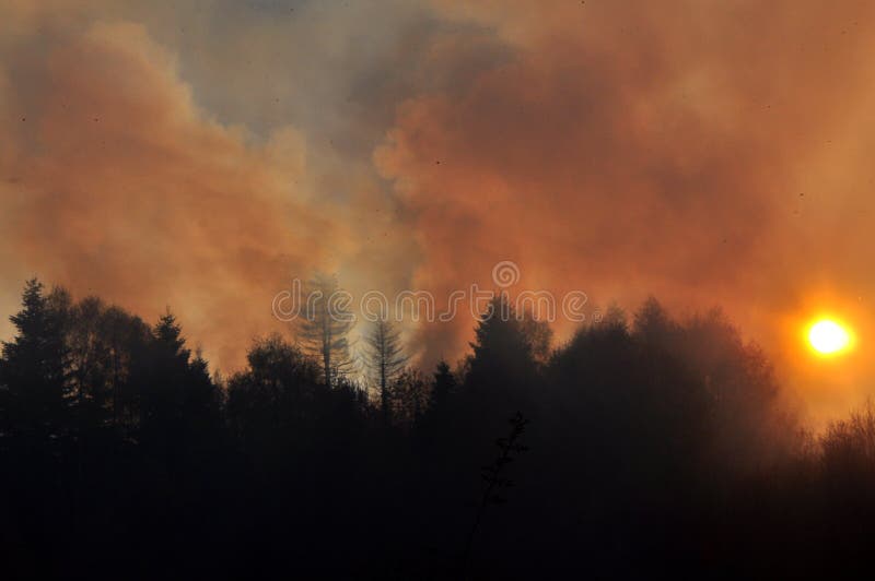 Forest fire and sun. stock image. Image of burned, emergency - 162430205