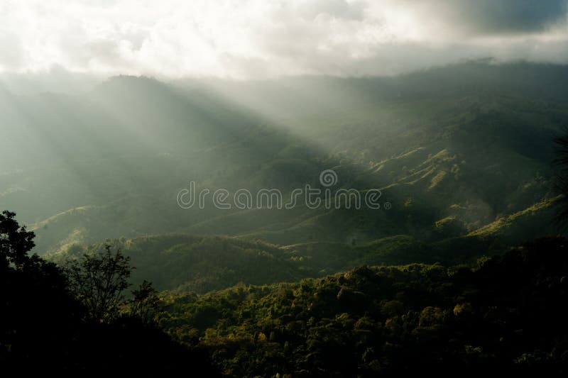 Forest fire with sunny day stock photo. Image of outdoor - 31997952