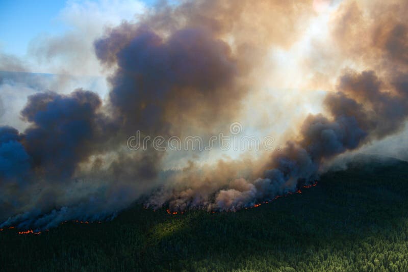 Forest fire, top view stock image. Image of nature, safety - 114952669