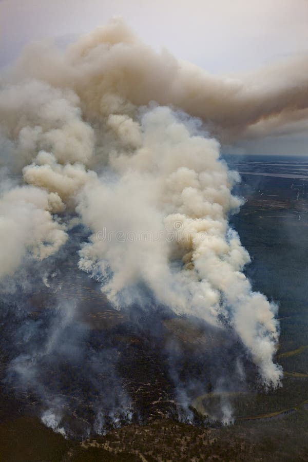 Forest in Fire, Top View from Plane Stock Image - Image of wild ...