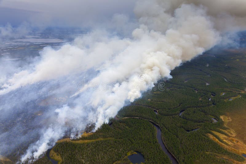 Forest in Fire, Top View from Plane Stock Image - Image of season ...