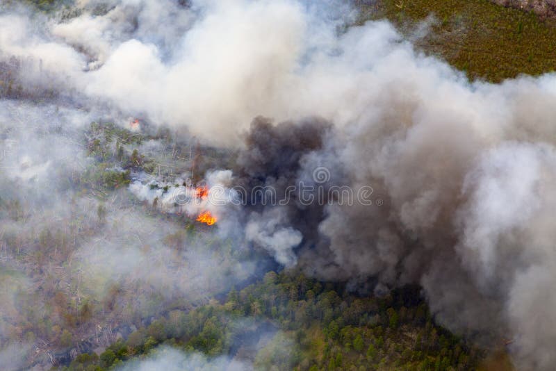 Forest in Fire, Top View from Plane Stock Photo - Image of nature ...
