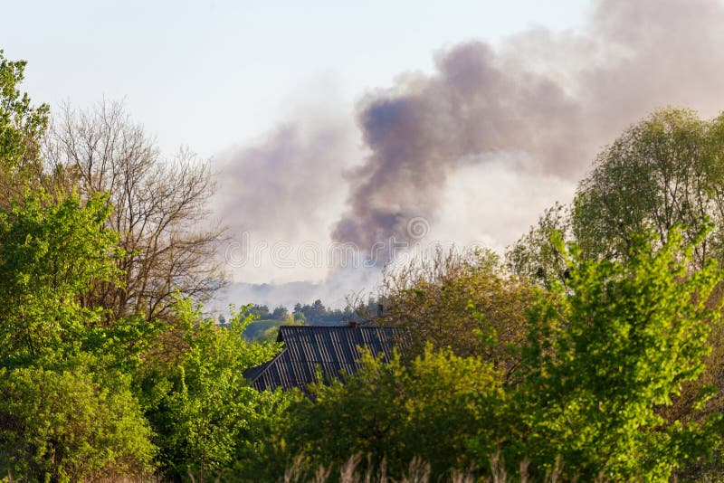 Forest fire view from afar stock image. Image of destruction - 112353261