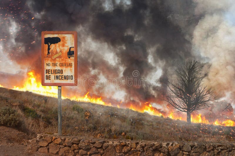 Forest Fire and a Warning Sign in Nature Stock Image - Image of ashes ...