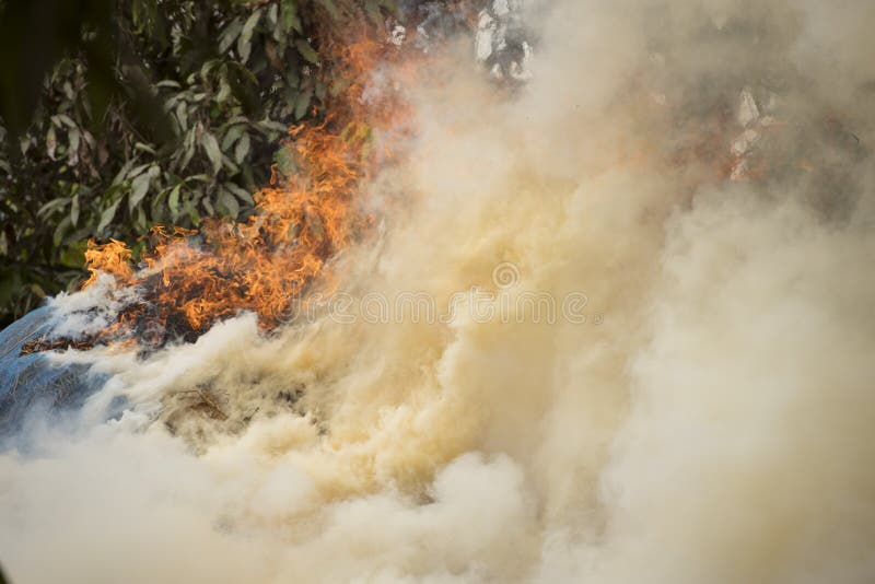 Forest fire stock image. Image of glow, beautiful, burn - 87452647