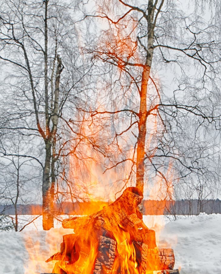 Forest Fire in Winter Concept Stock Photo - Image of nature, flame ...