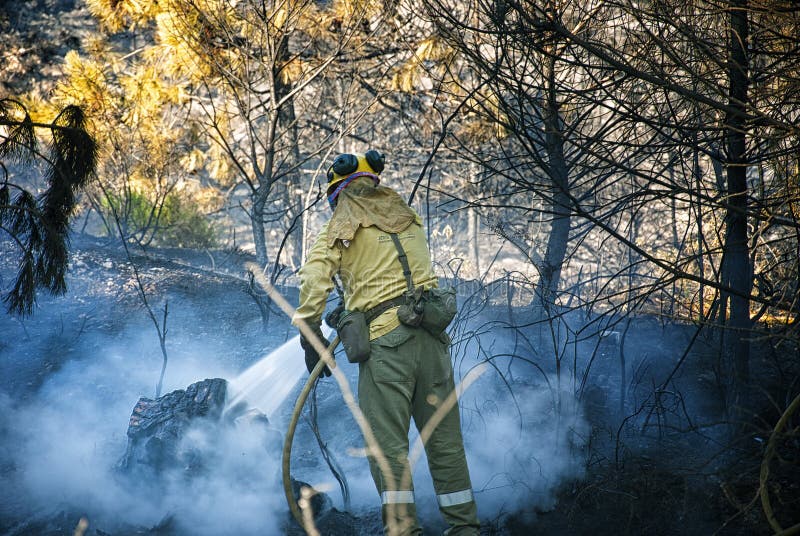 Forest Firefighter Putting Out a Fire Stock Photo - Image of high ...