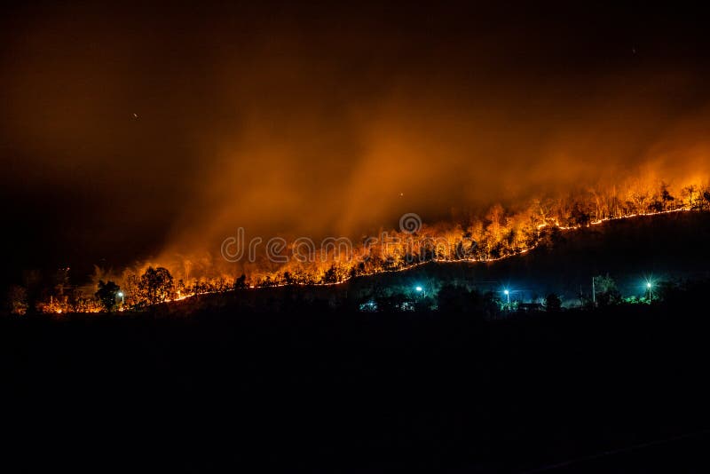 Forest Fires are Burning Forests Stock Image - Image of wildfire, event ...