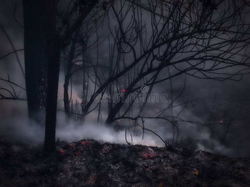 Objects and Nature stock photo. Image of fire, nature - 212526222