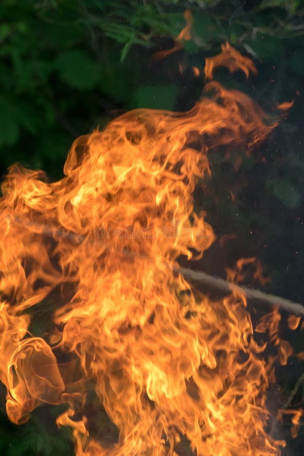 Forest Fires, Environmental Damage, Global Warming Stock Photo - Image ...