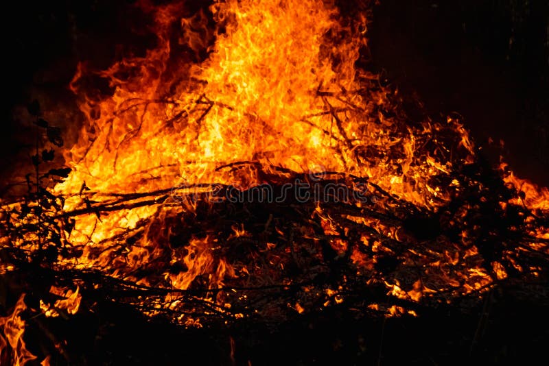 Forest Fires, Fire in Nature, the Destruction of Tree Plants Stock ...
