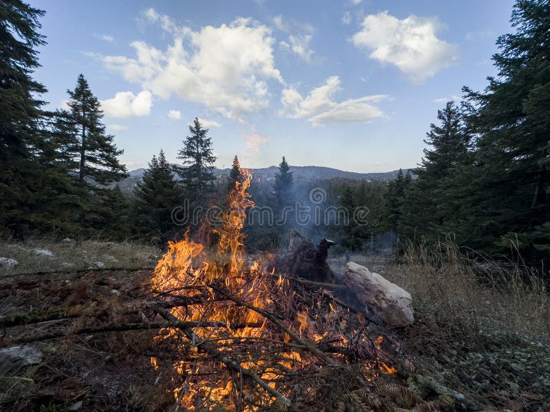 Forest Fires, First Fire and Dangerous Situations Stock Photo - Image ...