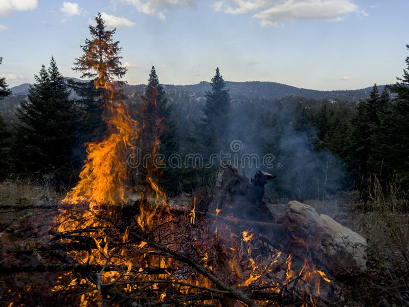 Forest Fires, First Fire and Dangerous Situations Stock Photo - Image ...