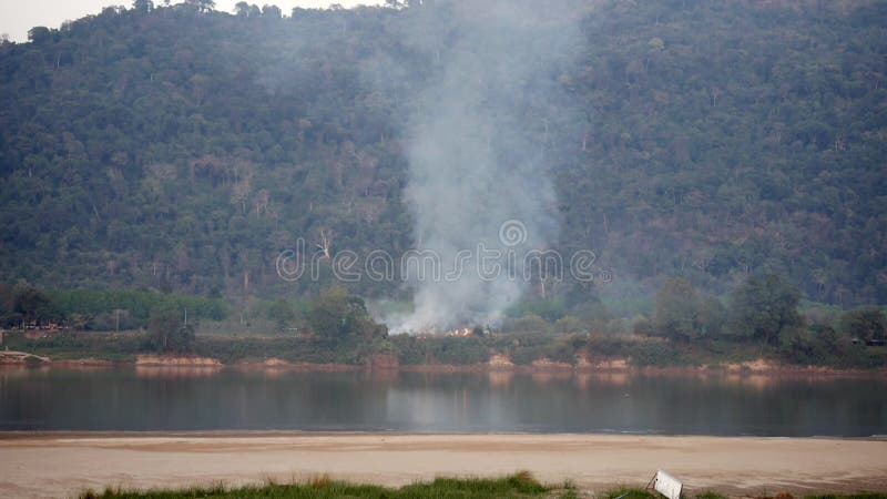 Forest Fires during a Hot Sunny Summer Day, Forest Fire in Progress ...