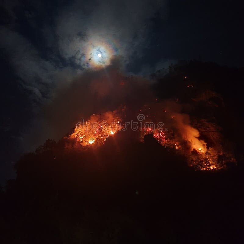 Forest fires at night stock image. Image of fires, moon - 391967897
