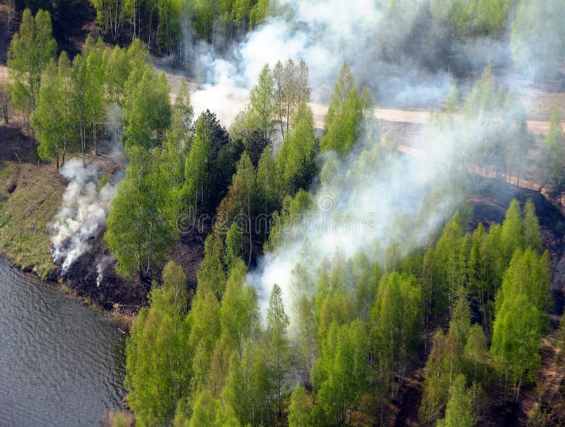 Forest Fires on the River in the Spring Stock Photo - Image of view ...