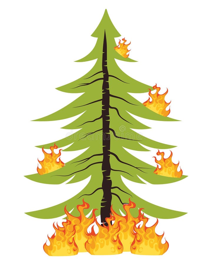 Forest Fires Tree Destruction Stock Vector - Illustration of wild ...