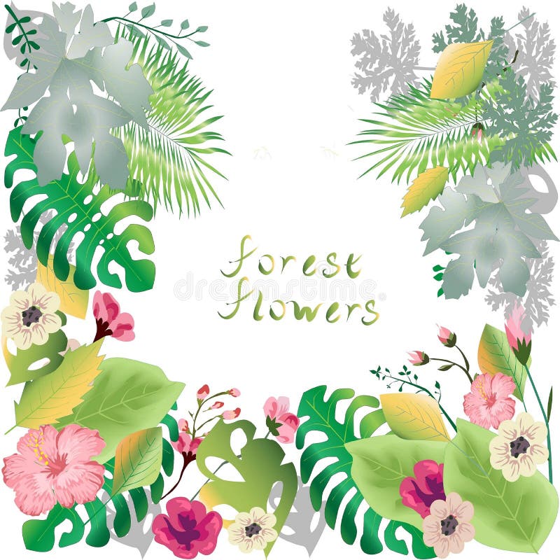 Forest Flowers and Leaves Frames and Background Template Stock Vector ...