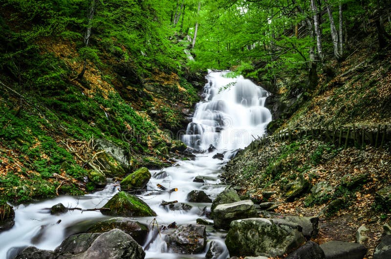 Forest Flowing Waterfall High Up in the Mountains of the Carpathians ...