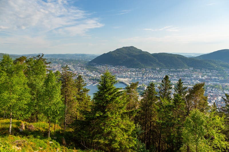 The Forest on the Floyen Hill. Bergen, Norway Stock Photo - Image of ...