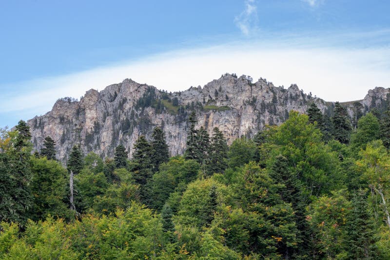 Forest at the Foot of the Mountain Stock Photo - Image of hill, weather ...