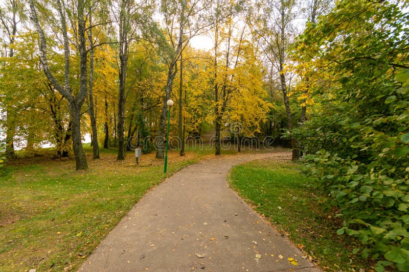 Forest Footpath with Footbridge Closed by a Barrier before Entering the ...