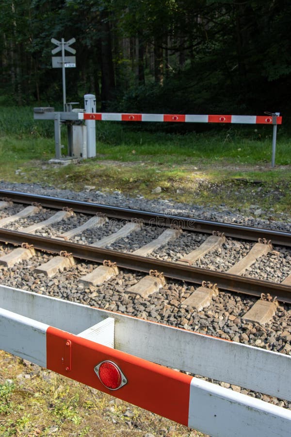 Forest Footpath Closed by a Barrier before Entering the Tracks Stock ...