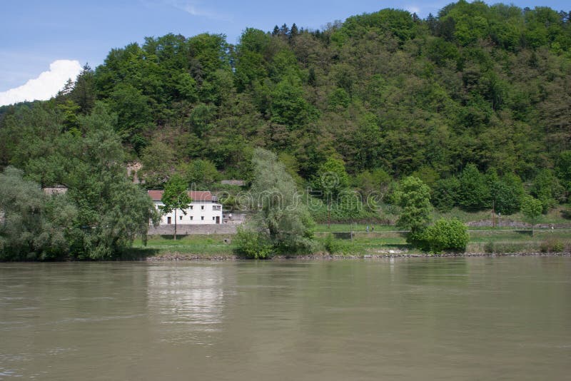 Forest, in the Foreground a River Stock Photo - Image of danube, plants ...