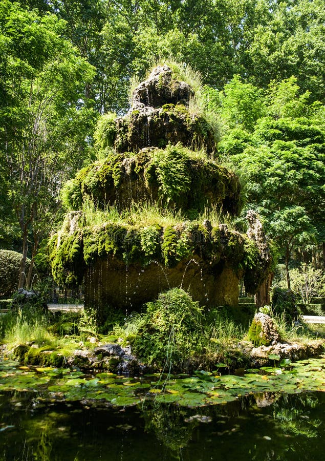 Forest Fountain in the Park Stock Photo - Image of summer, fountain ...