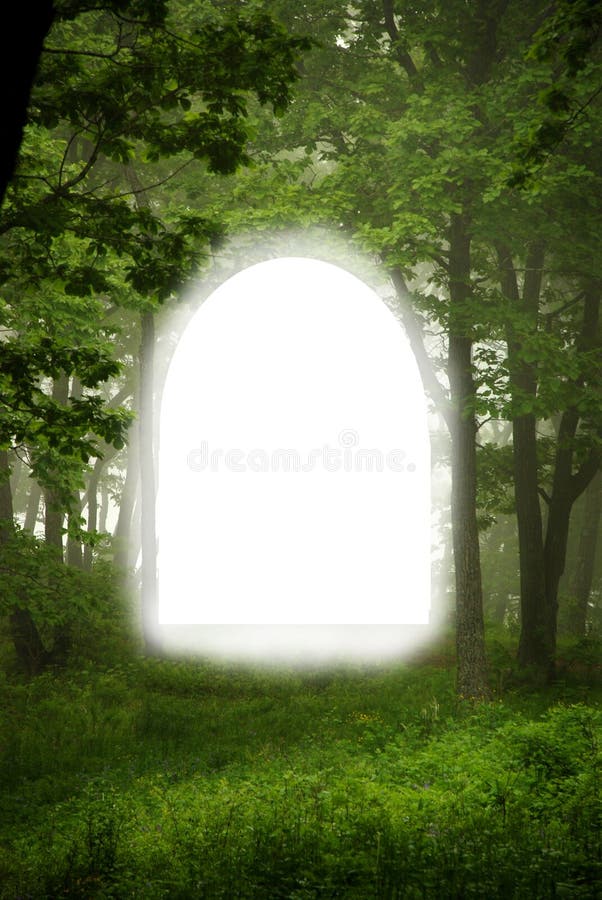 Forest frame stock image. Image of green, fairytale, beeches - 4547805