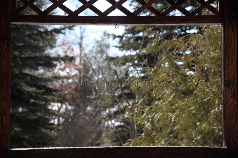 Frame - View from the Window Stock Photo - Image of nature, sunny ...