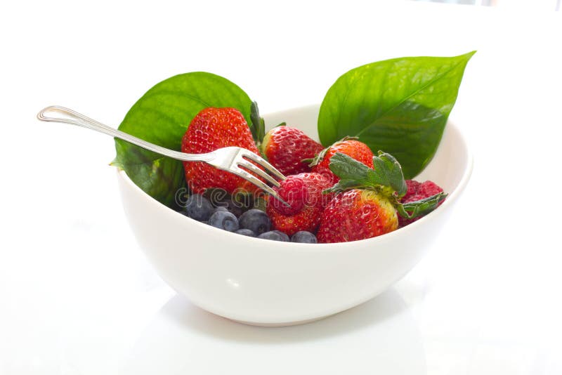 Forest fruit stock photo. Image of raspberry, forest - 24216834