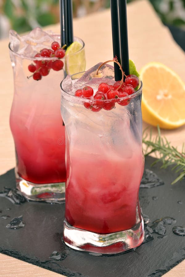 Forest fruit cocktail. stock image. Image of drink, cocktail - 41203097