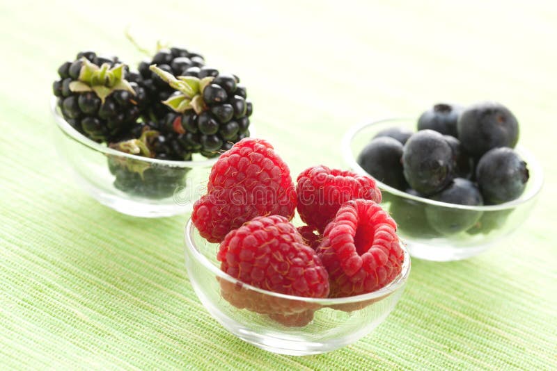 Forest fruits stock photo. Image of closeup, garden, dieting - 16148006