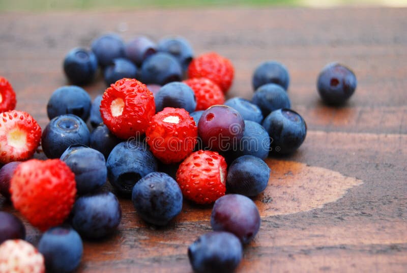Forest fruits stock image. Image of wild, healthy, whortleberries ...